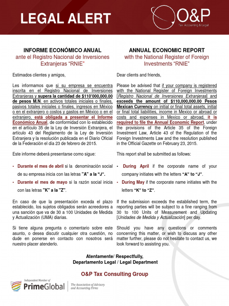 Informe Economico Anual RNIE | PDF | Negocios | Finanzas y dinero