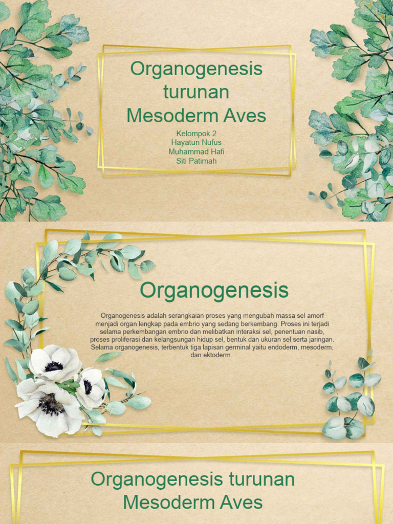 Organogenesis Turunan Mesoderm Aves (Kelompok 2) | PDF