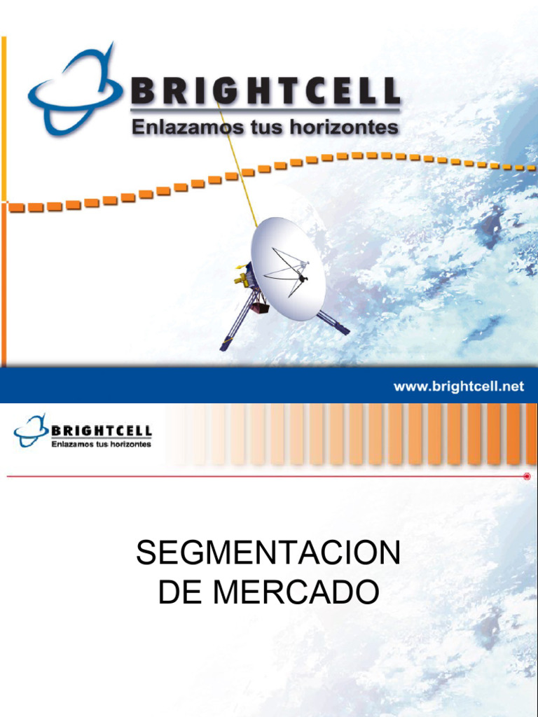Brightcell - Segmentacion de Mercado | PDF | Planificación de recursos empresariales | Economias