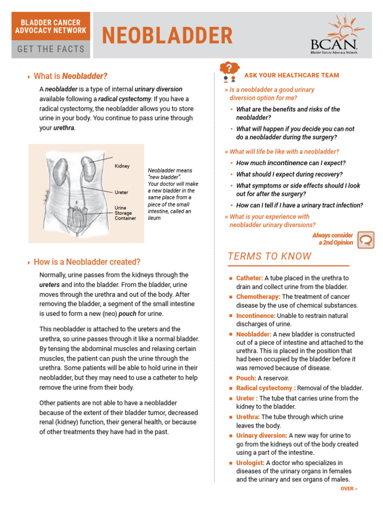 What Is A Neobladder? | PDF | Urinary Incontinence | Urinary System