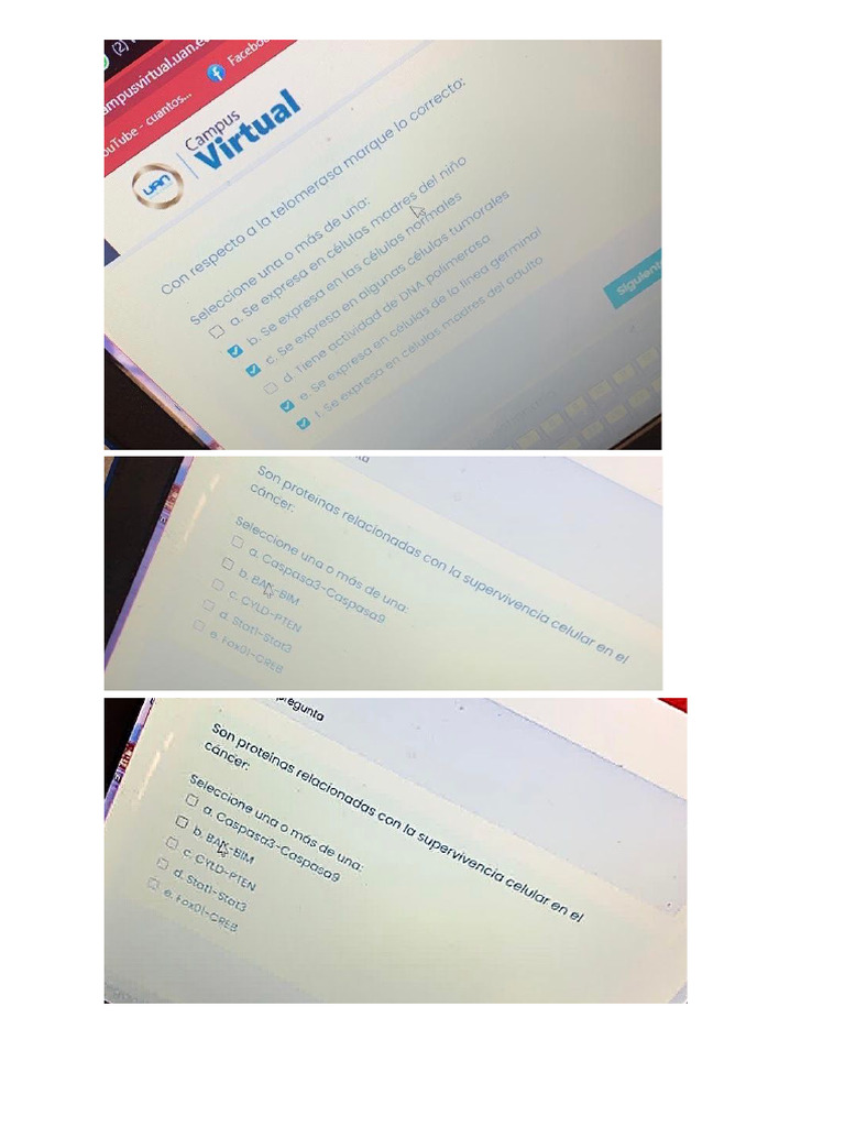 Pato 1 - Corte 3 | PDF