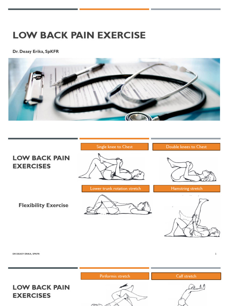 Effective Low Back Pain Exercises | PDF | Pelvis | Joints