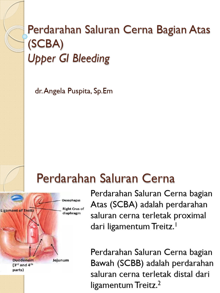 Materi Perdarahan SCBA | PDF | Pengembangan Diri | Sains & Matematika