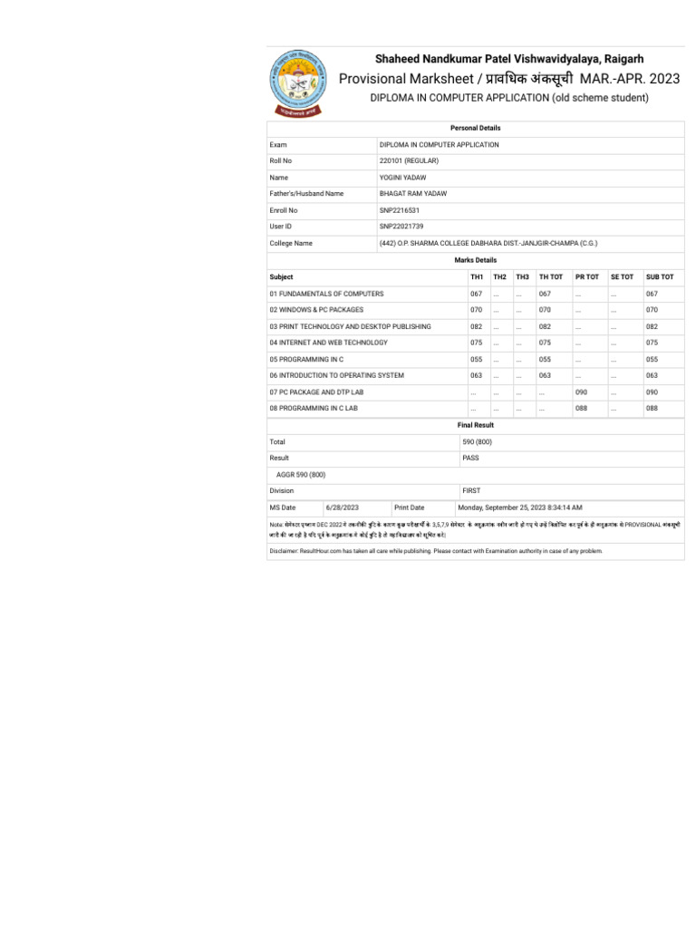 Shaheed Nandkumar Patel Vishwavidyalaya, Raigarh | PDF