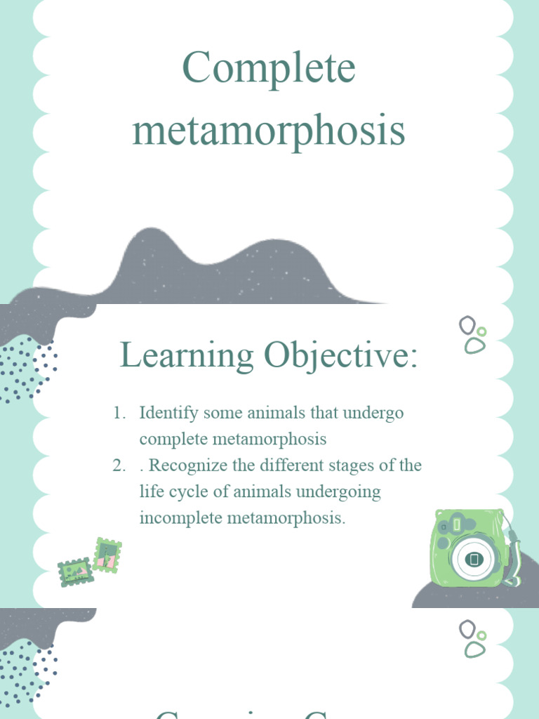 Complete Metamorphosis | PDF