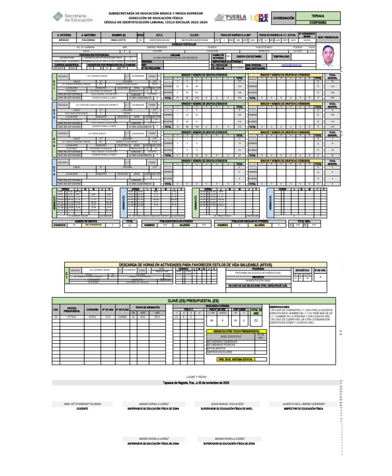 Cédula de Identificación Laboral 2023-2024 | PDF | Titulo academico ...