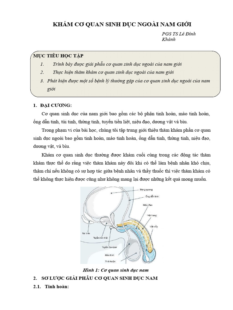 Khám Cơ Quan Sinh D C Ngoài Nam Gi I | PDF