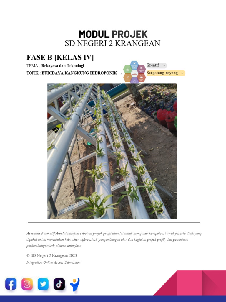 Budidaya Kangkung Hidroponik Sd Krangean Pdf Seni