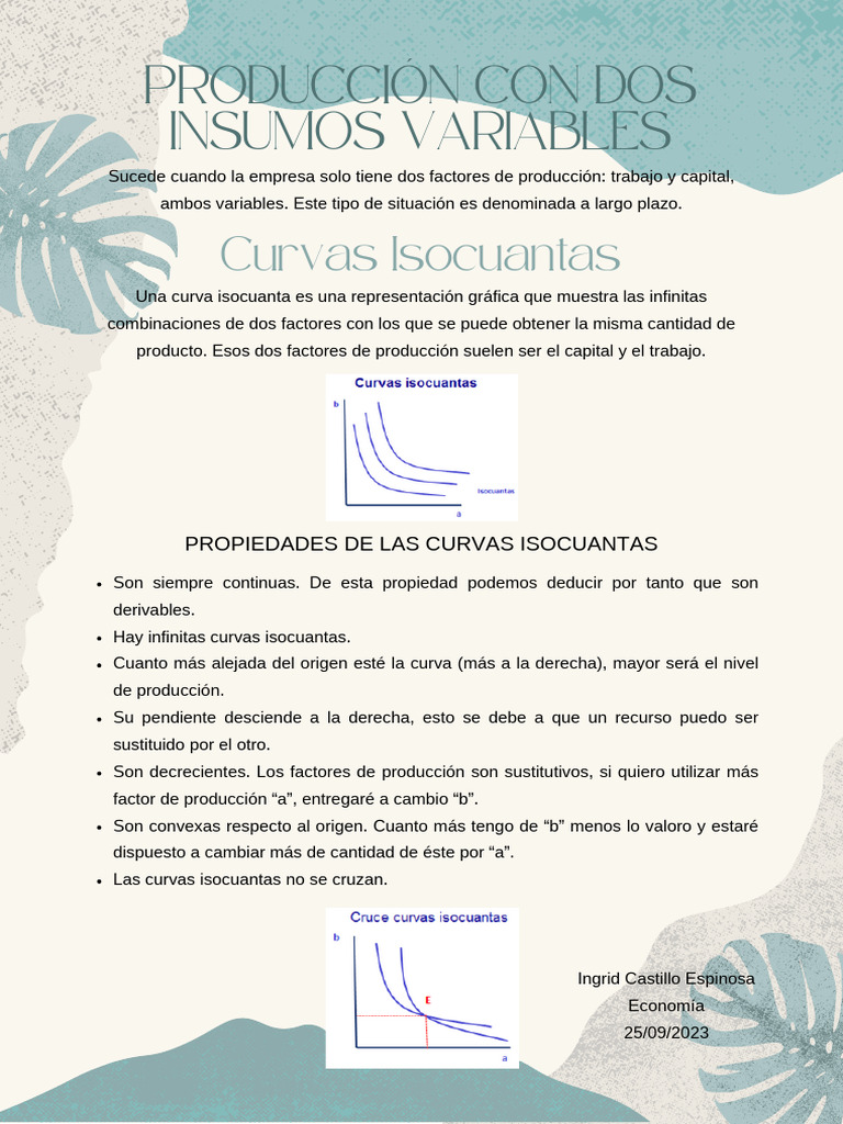 Producción Con Dos Insumos de Variables - Eco | PDF | Business ... Producción Con Dos Insumos de Variables - Eco | PDF | Business ...