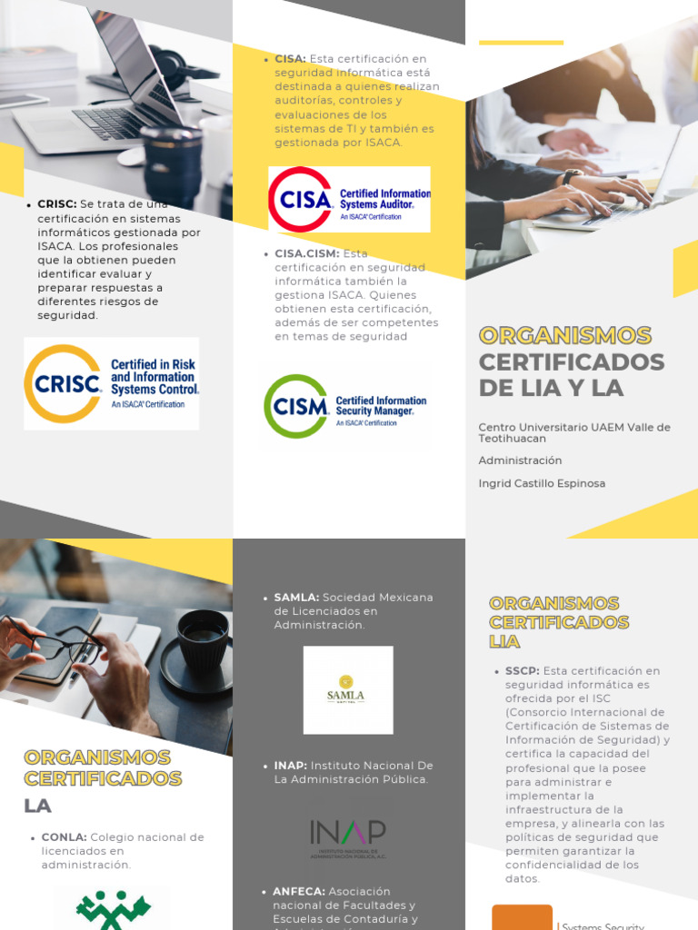 Folleto Brochure de Servicios Empresa Profesional Amarillo | PDF | La ...