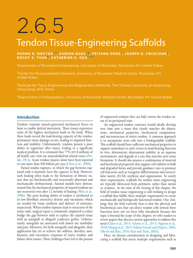Tendon Tissue-Engineering Scaffolds | PDF | Tissue Engineering | Tendon