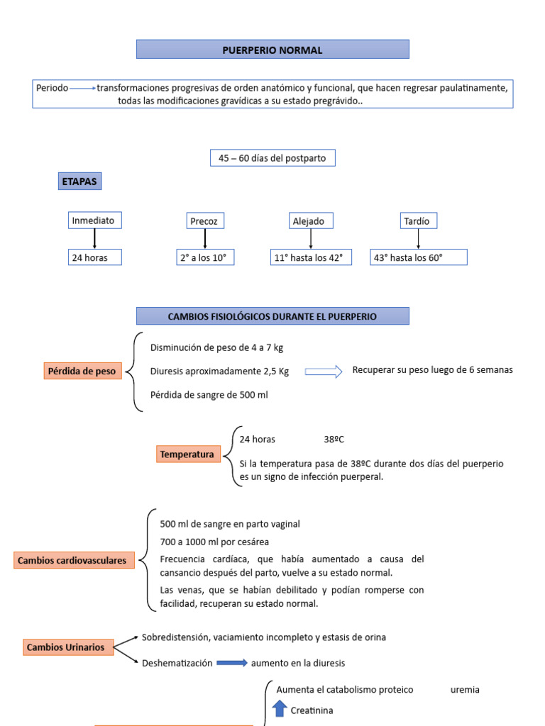 Puerperio Normal | PDF | Periodo posparto | Parto
