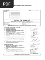 Onion Cell and Cheek Cell Lab | PDF | Cell (Biology) | Anatomy