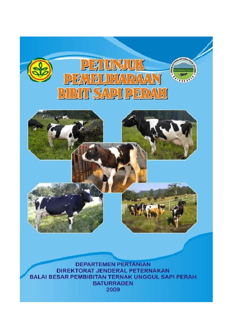 Tuga (BCS) - Alisa Putri - B1D022056 | PDF