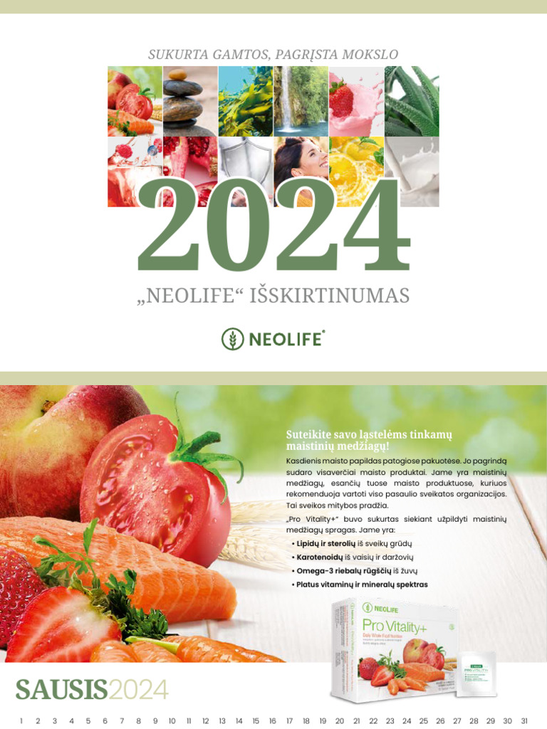 NL Calendar 2024 21X15 LITf | PDF