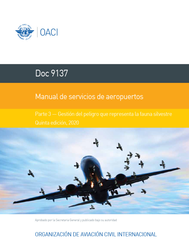 9137 p3 Cons Es | PDF | Aeropuerto | Control de tráfico aéreo
