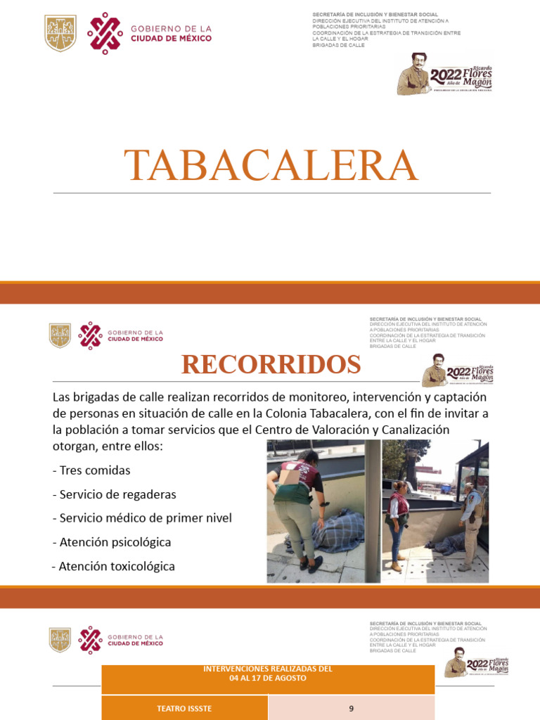 Brigadas de Calle en Tabacalera | PDF