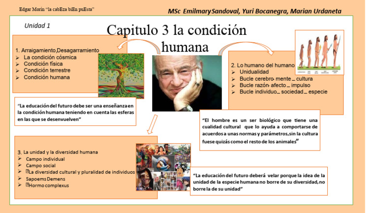 Infografia Edgar Morin (Capitulo 3 La Condicion Humana) | PDF ...