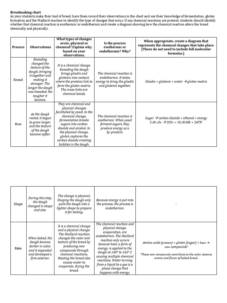 Bread Making Teacher Chart | PDF | Breads | Gluten
