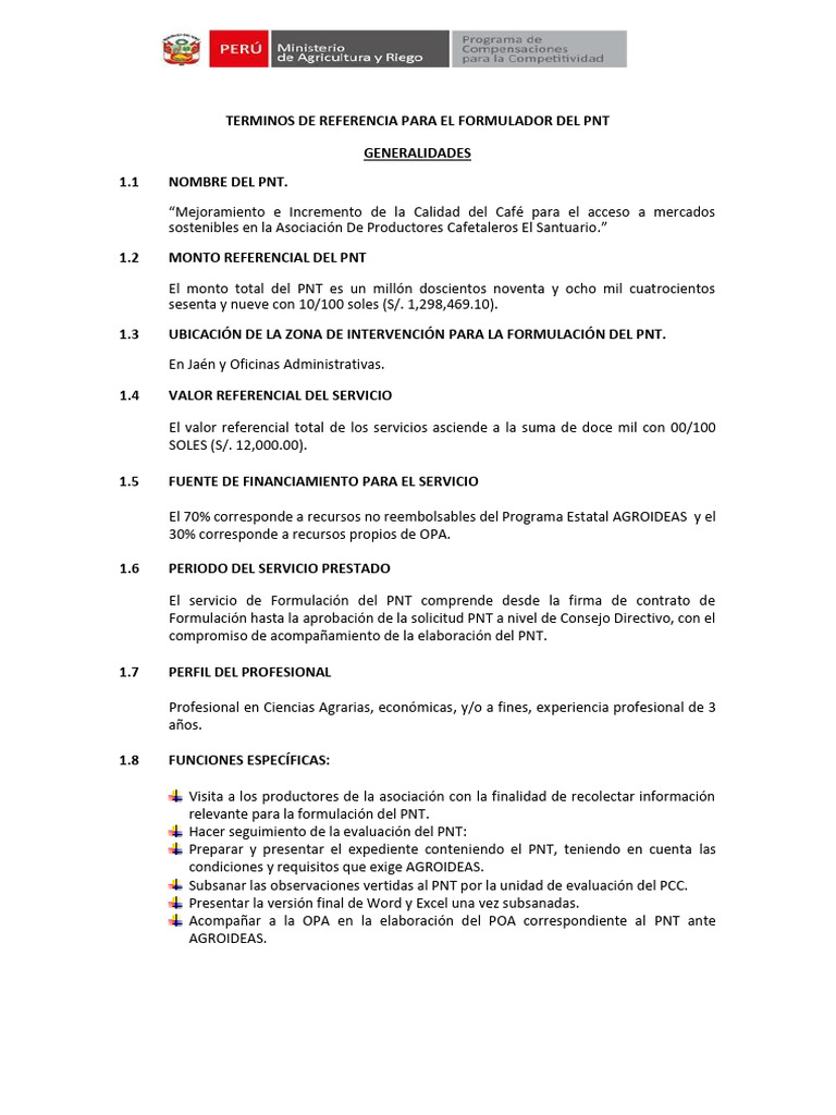 TdR - SERVICIOS - PNT FORMULACIÓN | PDF