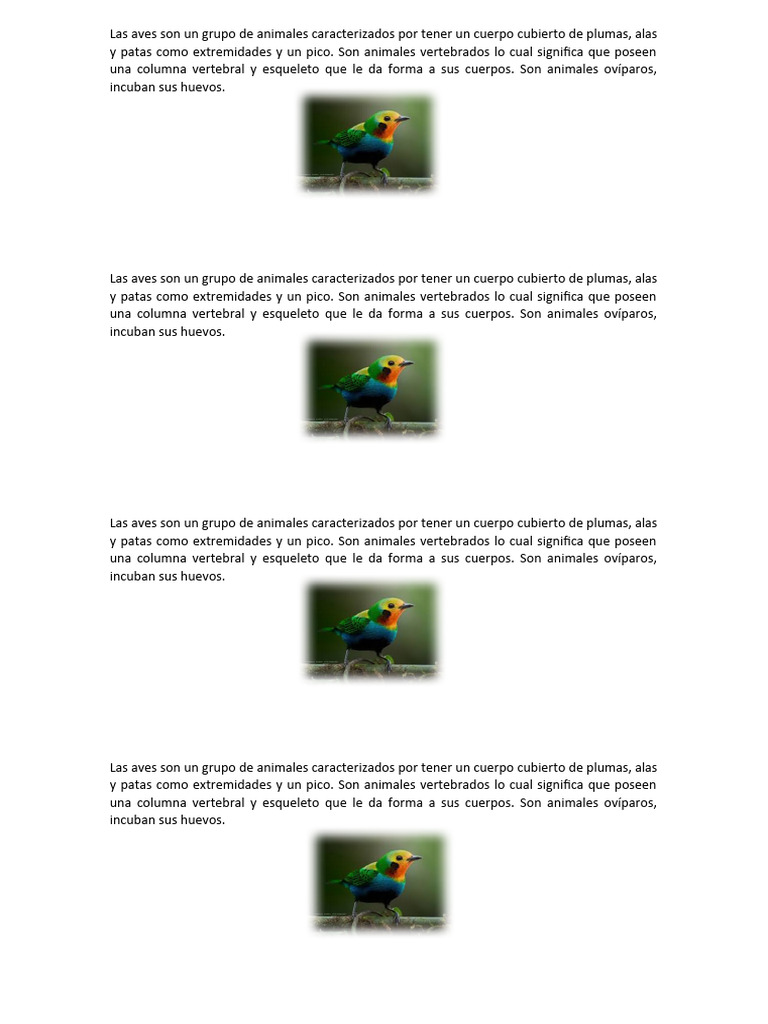 Excreción en Aves: Características Clave | PDF