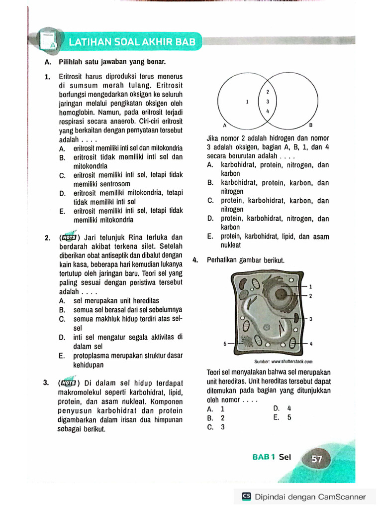 Latihan Soal Akhir Bab Sel | PDF