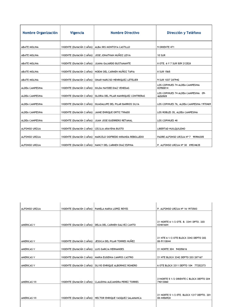 Juntas de Vecino | PDF