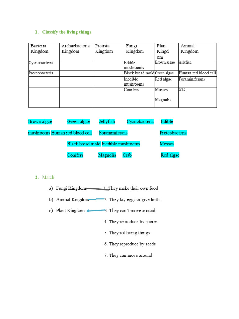 Test - Classification Word | PDF