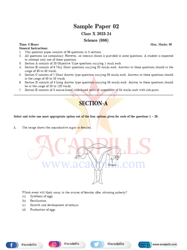 Science Exclusive Sample Paper | PDF | Chemical Reactions | Mirror