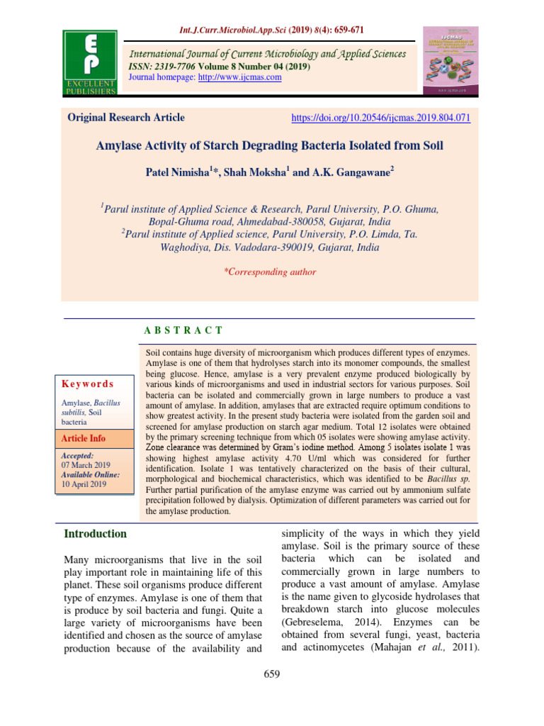 Amylase Activity of Starch Degrading Bac | PDF | Bacteria | Growth Medium