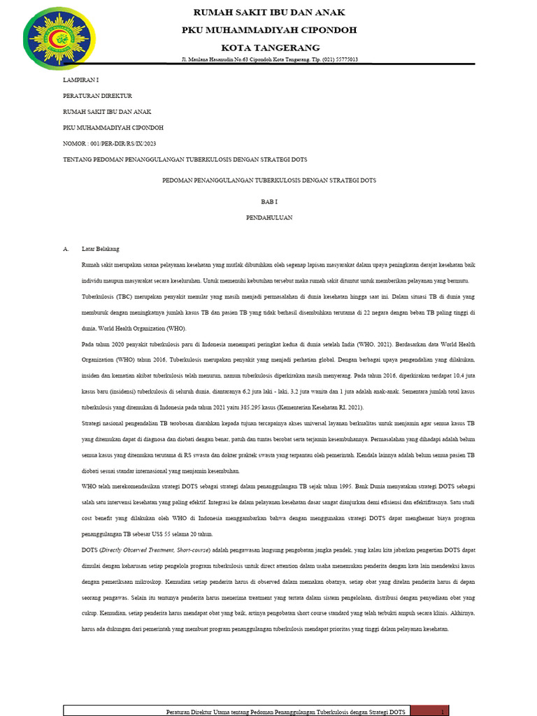 Pedoman Penanggulangan TBC DOTS RS PKU | PDF
