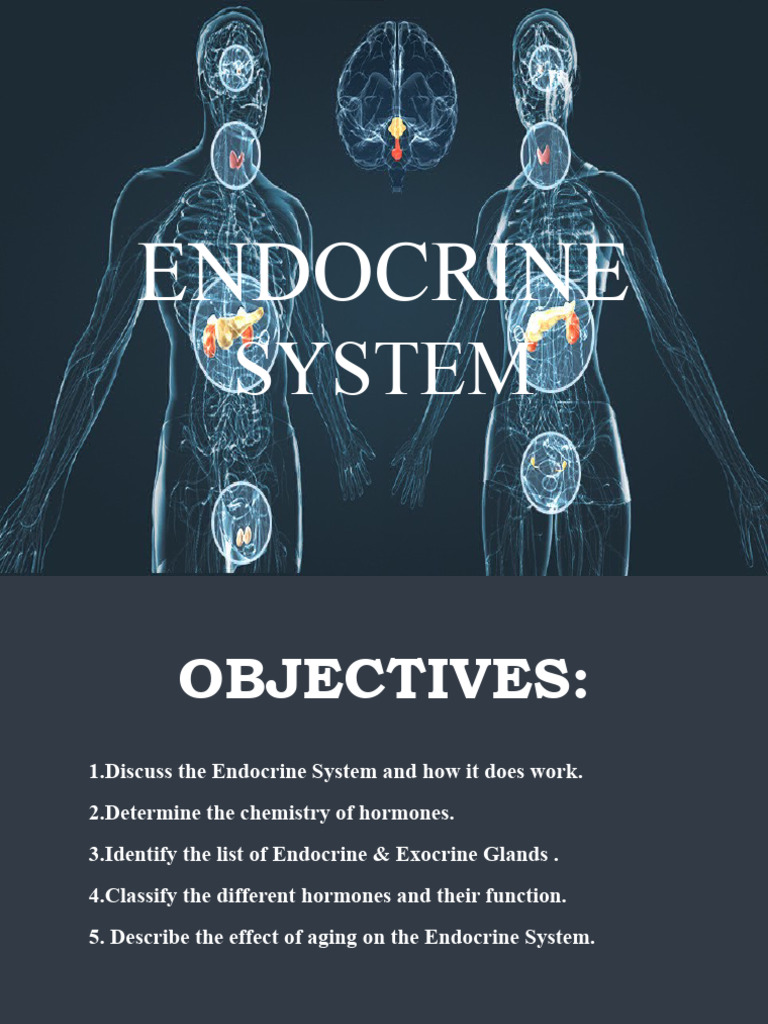 Endocrine System Pdf Hormone Endocrine System