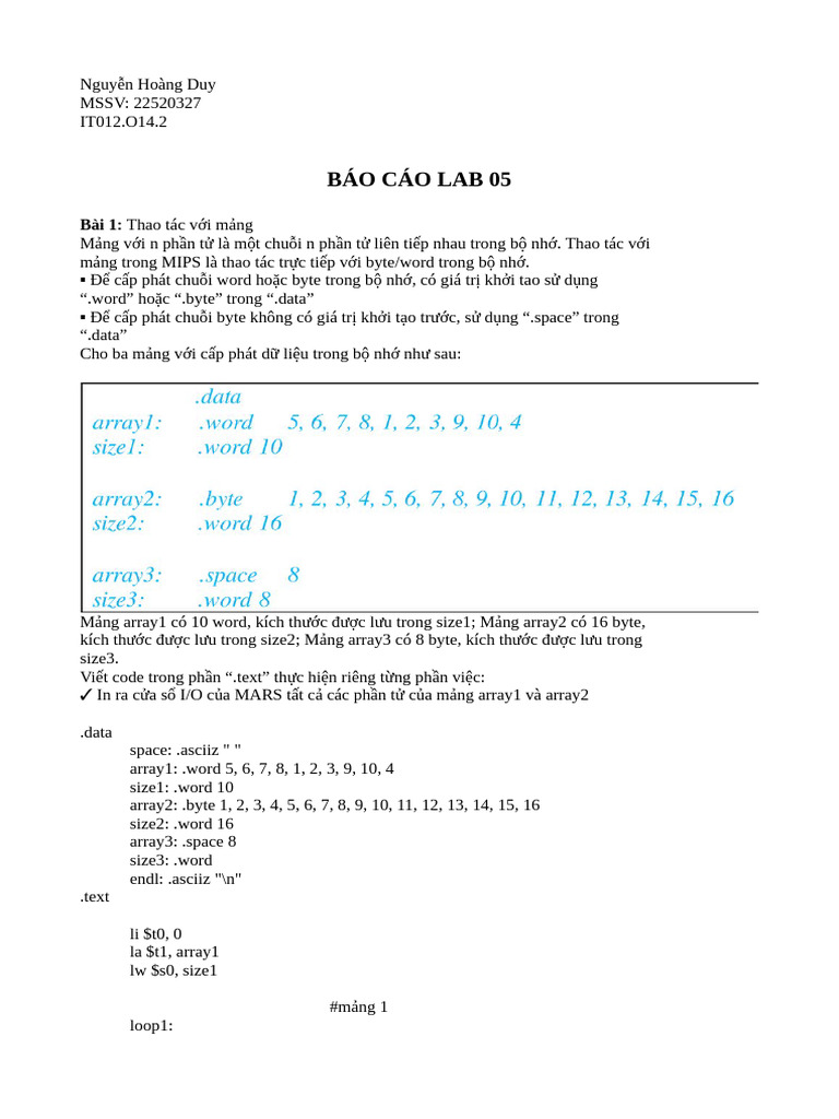 Nguyễn Hoàng Duy Lab5 | PDF