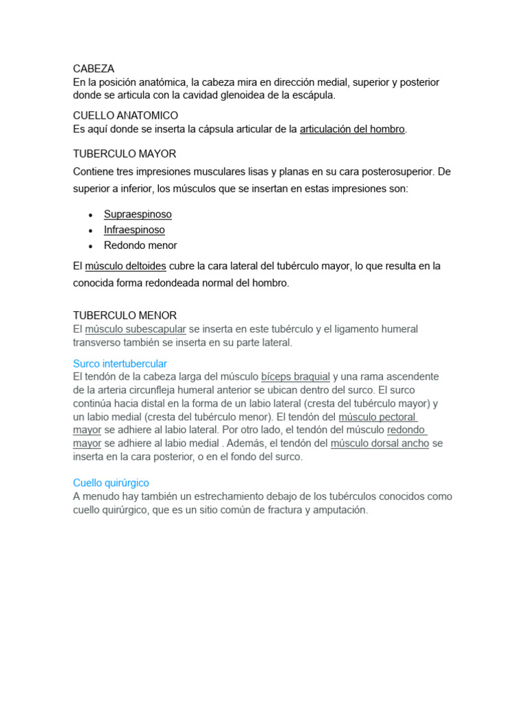 Anatomía del Húmero y sus Partes | PDF | Hombro | Sistema ...