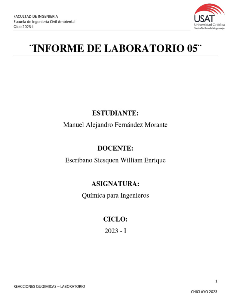 Informe de Laboratorio 05 Quimica | PDF | Redox | Reacciones químicas