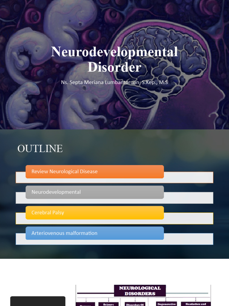 Panduan Gangguan Neurodevelopmental | PDF