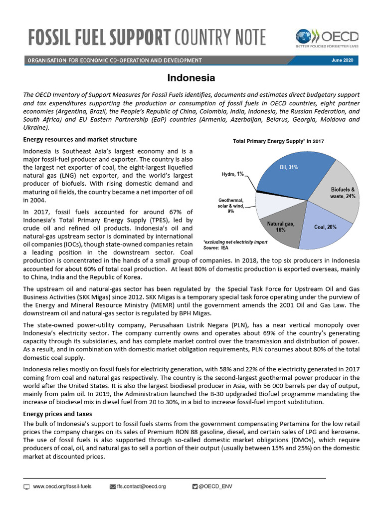 En IDN Country Brief Jun2020 | PDF | Subsidy | Fuels