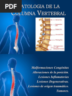 Ejercicios de Williams | PDF | La columna vertebral | Dolor lumbar