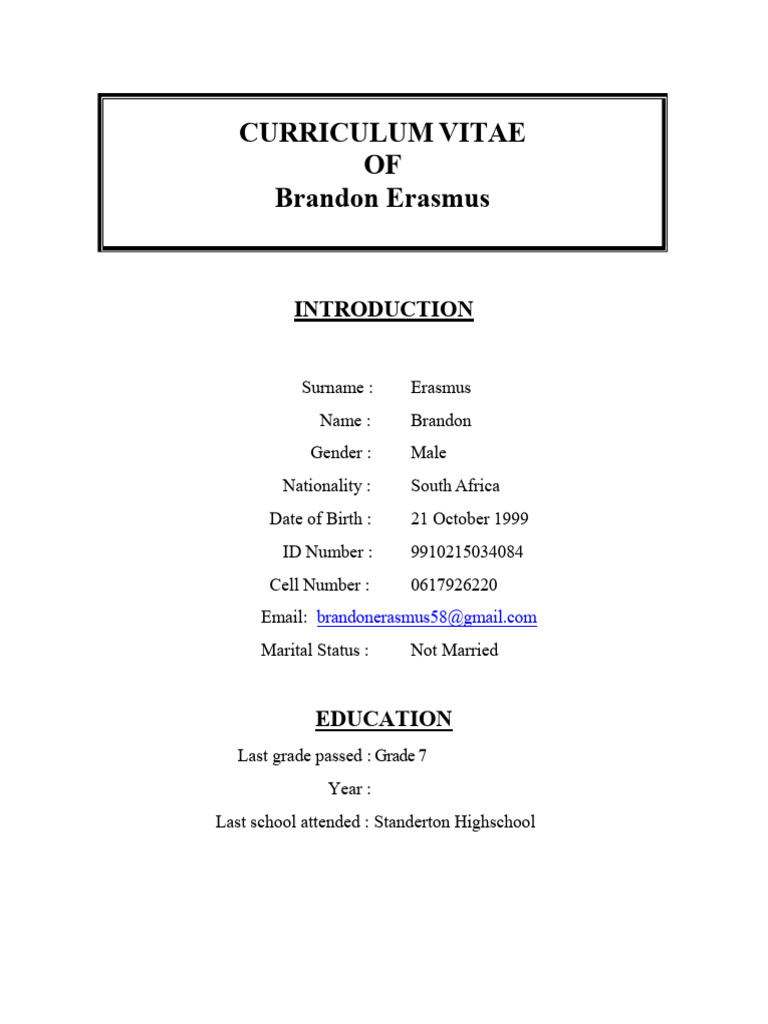 Brandon Erasmus CV | PDF