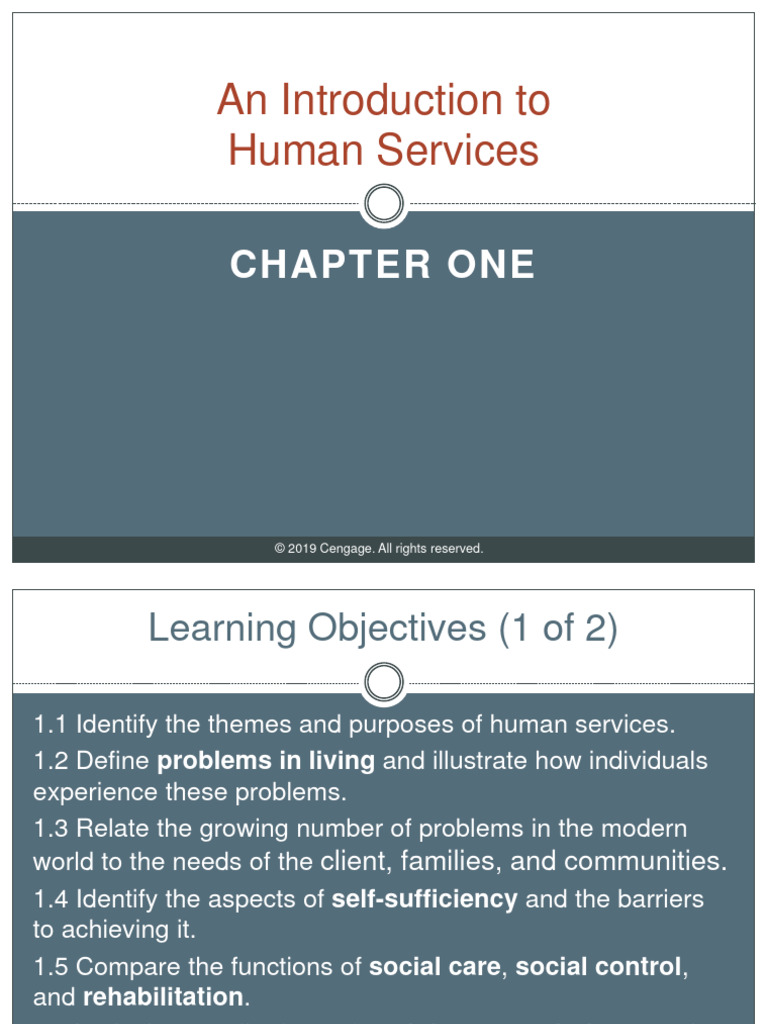 PowerPoint Ch01 | PDF | Human Services | Social Work