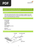 Lab Report Mic102 | PDF | Microscope | Optics