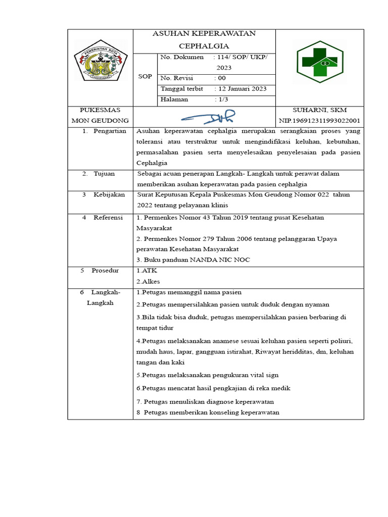 Asuhan Keperawatan Cephalgia | PDF | Sains & Matematika