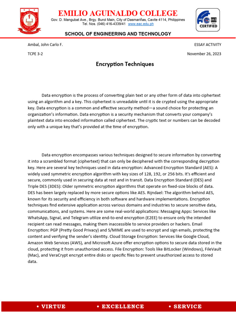 Data Encryption Techniques Explained | PDF | Cryptography | Encryption