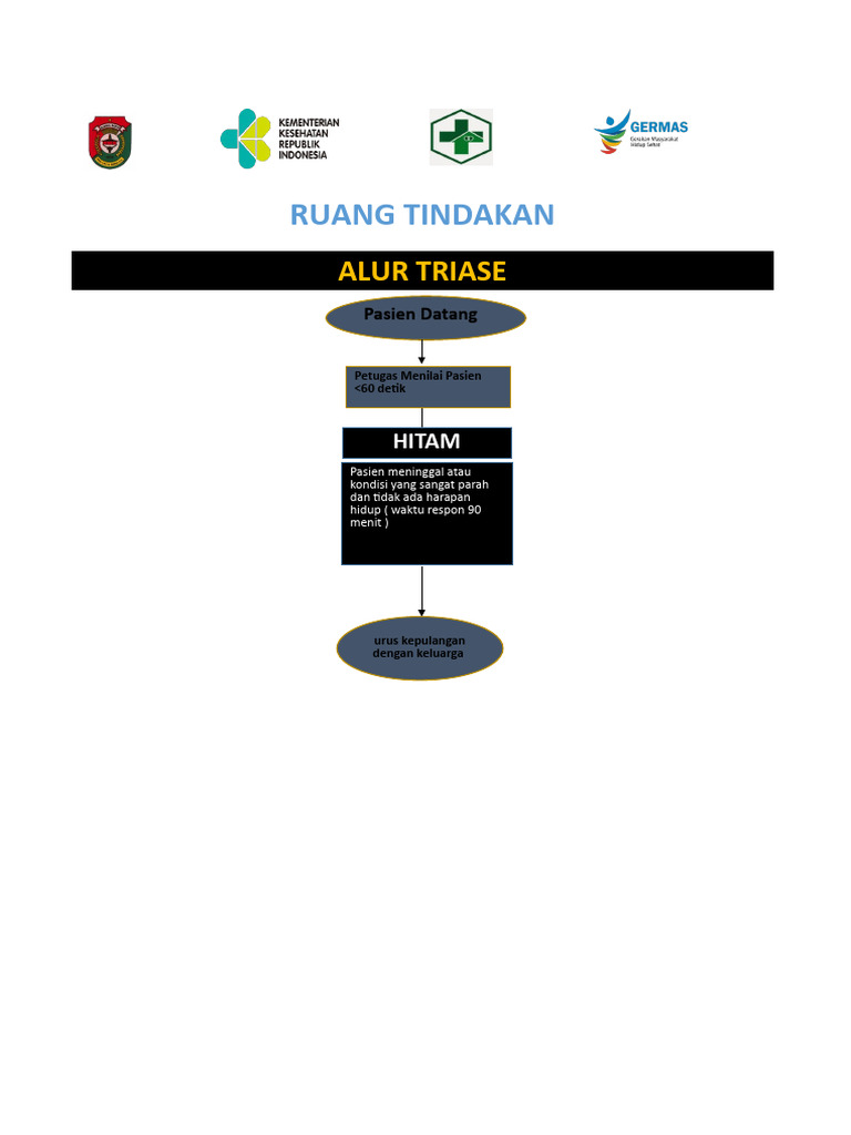Alur Triase | PDF