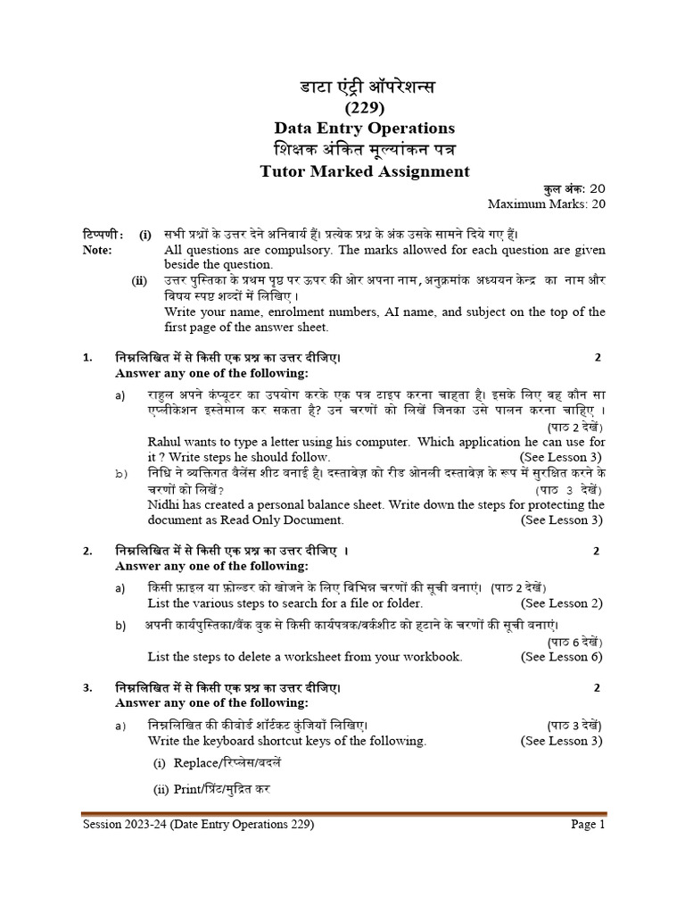 229 Data Entry Operations | PDF