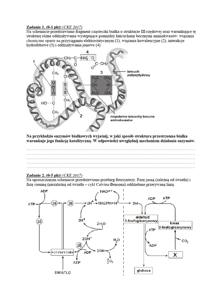 Zadania - Metabolizm | PDF