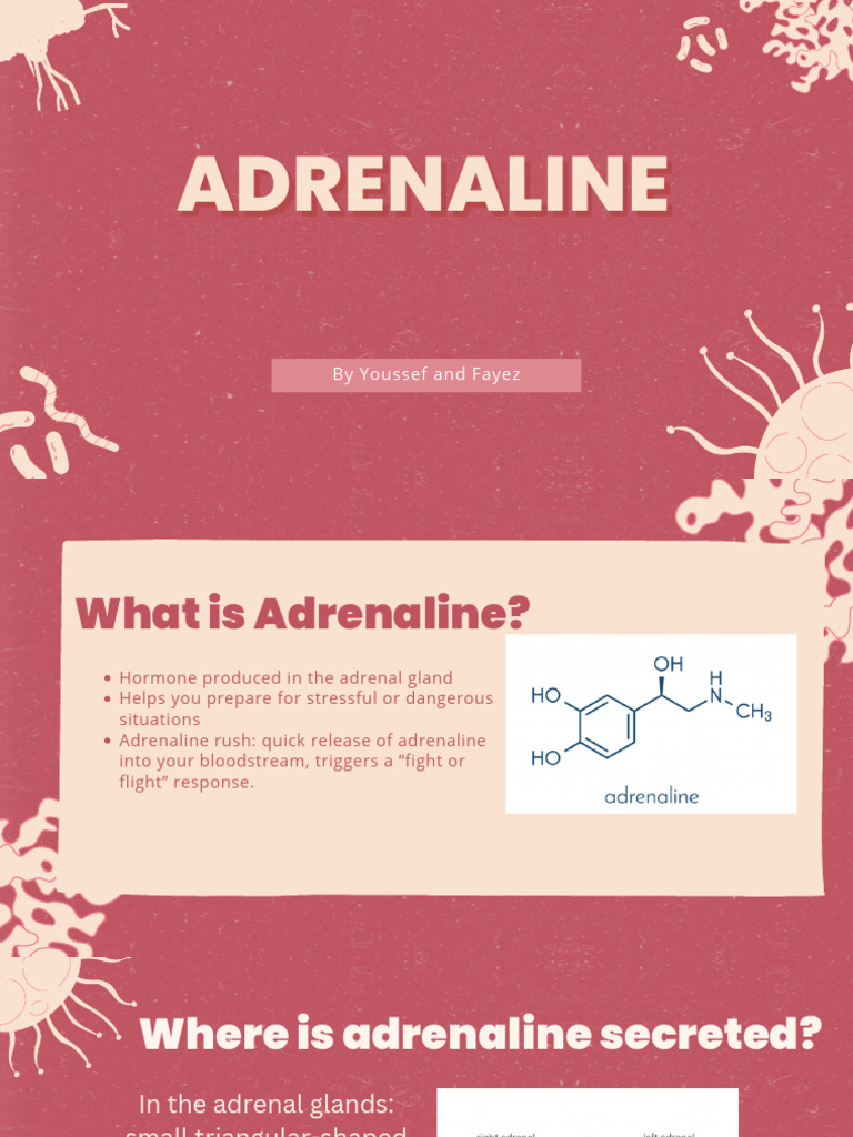 Understanding Adrenaline's Role and Effects | PDF | Wellness