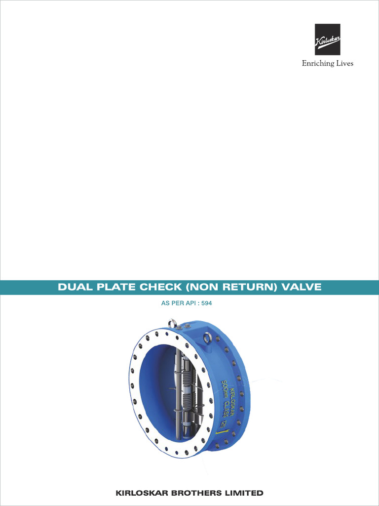 Dual Plate Check Valve | PDF