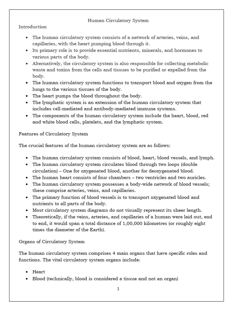 Human Circulatory System | PDF | Heart Valve | Heart