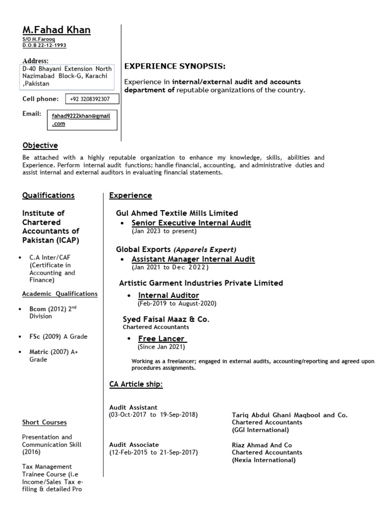 Internal Audit and Finance Expertise | PDF | Career & Growth | Finance ...